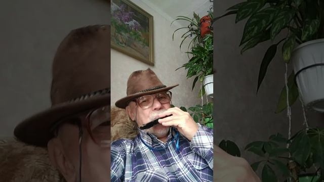 И.Истомин. Кужелица