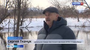 Лососевый рыбоводный завод "Кеткино". Вести-Камчатка