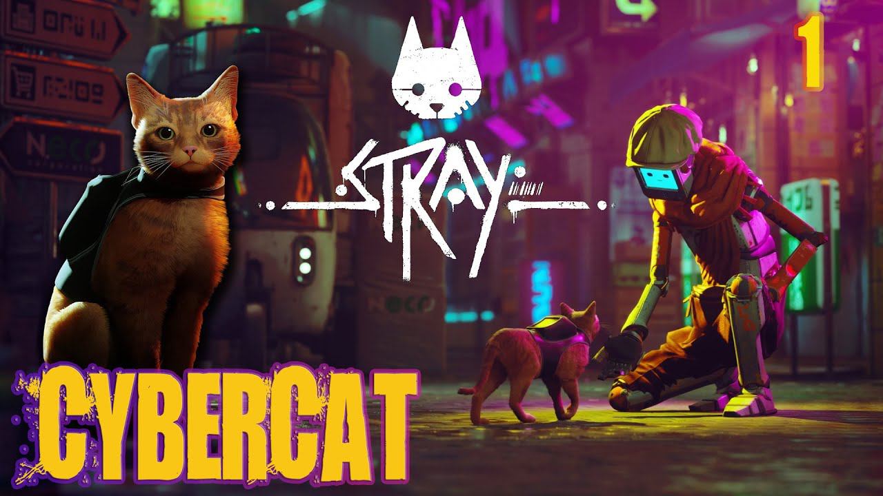 Stray – История Киберкотика ▶СТРИМ #1