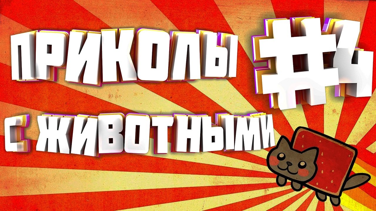 Приколы с животными | Приколы угары | Засмеялся подписался #4
