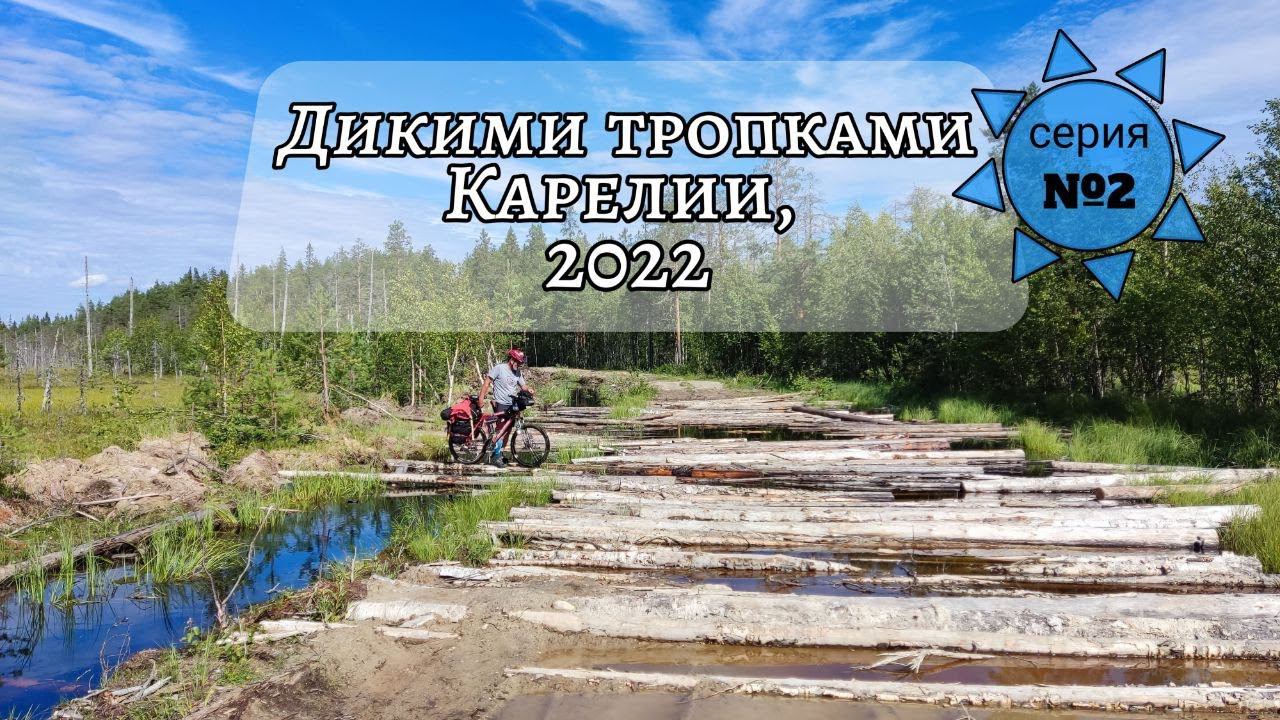 Большой летний поход на велосипедах по диким тропкам Карелии, август 2022. серия 2