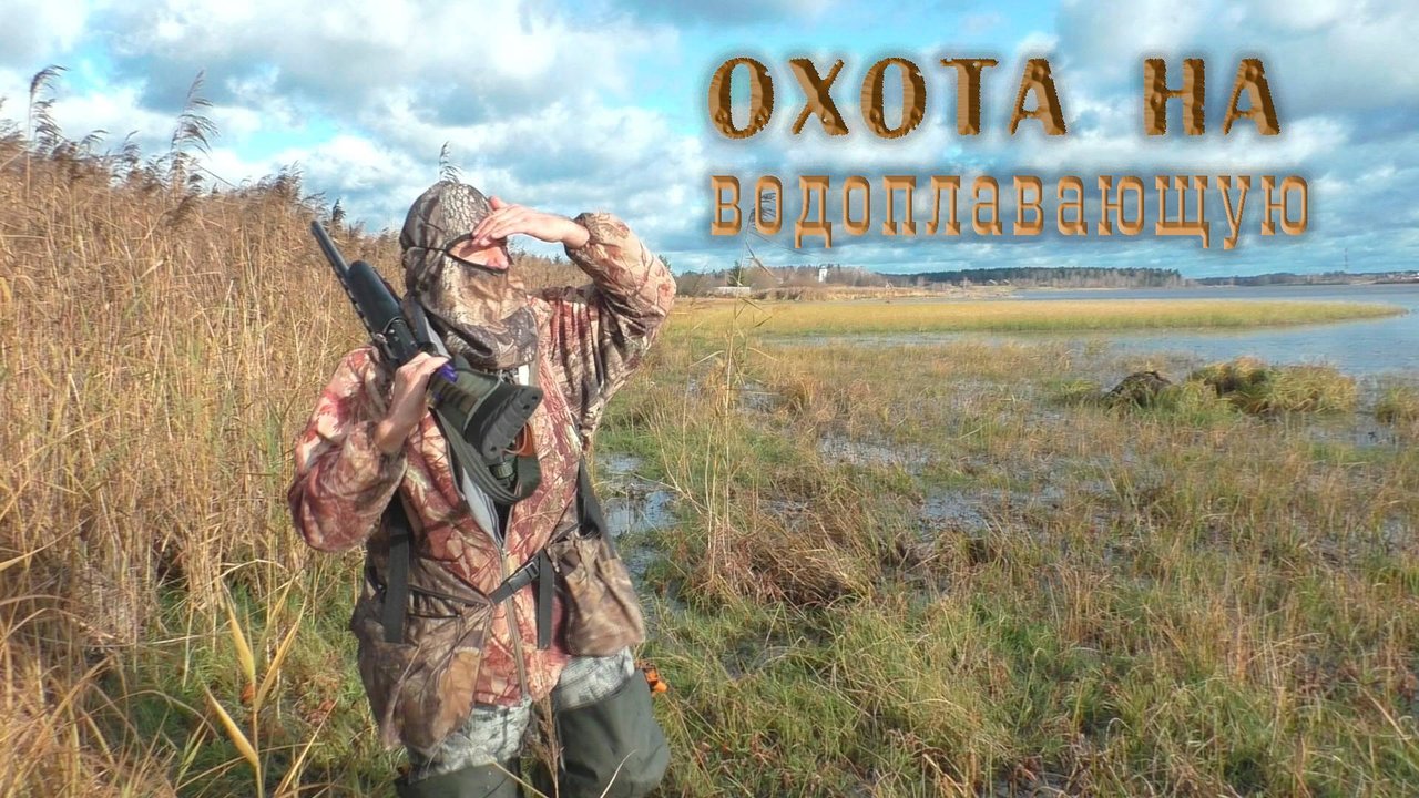 Охота на утку.