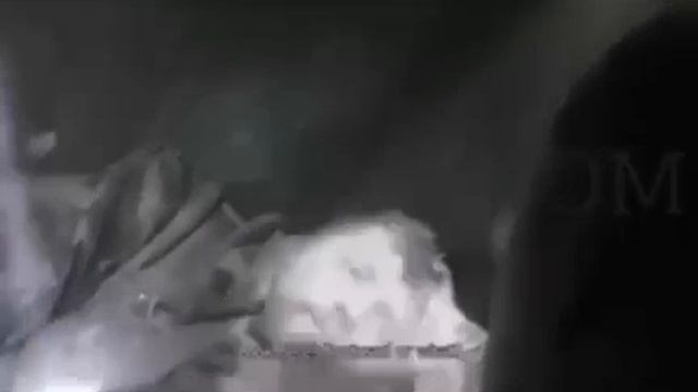 VID_20220606_200526_485.mp4