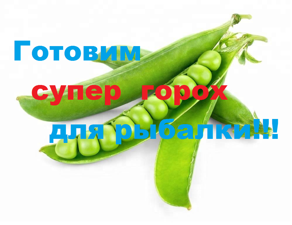 Супер горох для рыбалки.