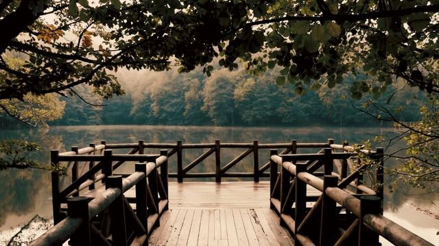 Красивая расслабляющая музыка ? Soothing Music ? Stress Relief. Meditation Calm Music?