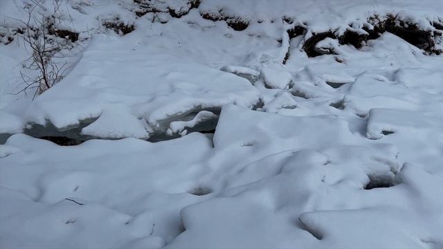 19 января_День 4