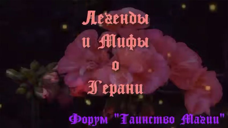 Легенды и Мифы о Герани авт.† Л€ДИ Addam$ †
