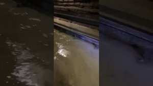 В киевском метро раньше времени прекратили движение поездов между станциями"Демеевская" и "Теремки".
