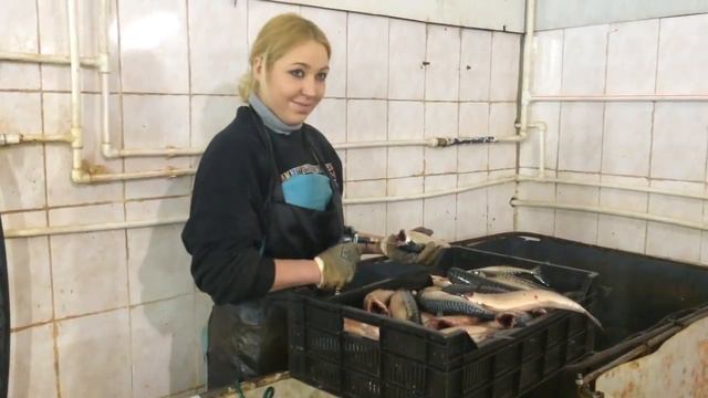 Инъектирование рыбы. Ручной инъектор.