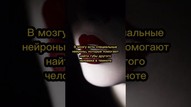 Факты о поцелуях