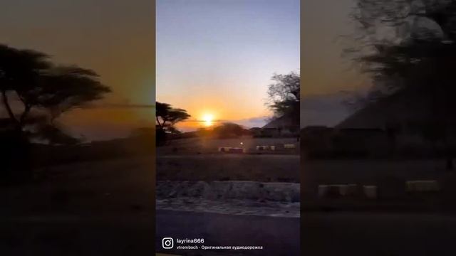 Safati 2022. Tanzania-Kenia. Serengeti-Mkomazi-Ngorongoro-Amsoseli.