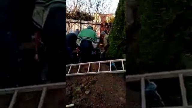 Доставка погреба Тингард