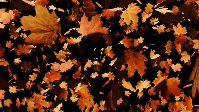 “И это никакой не листопад…” стихи Ирины Фетисовой (Mullerson) исполняет Алексей Брюшневский