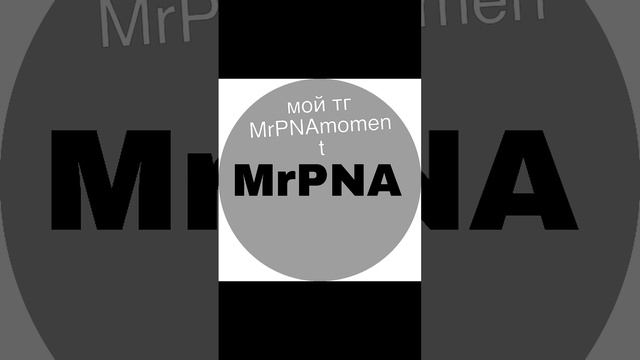 мой тг: MrPNAmoment