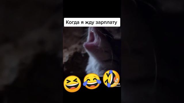 9c21b1e1764b1df0ba96b0b203f41e9c.mp4