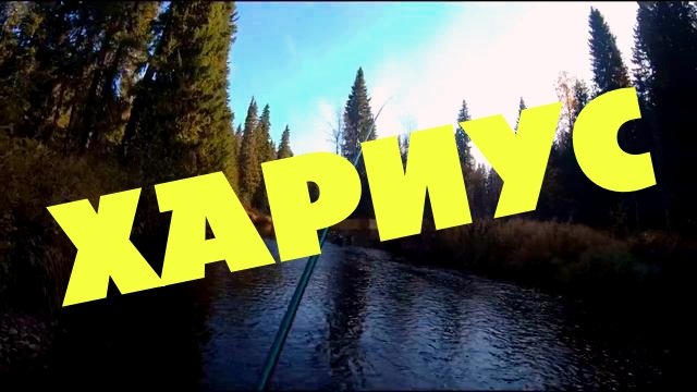 ВЫВОЖУ БОЛЬШОГО ХАРИУСА !.mp4