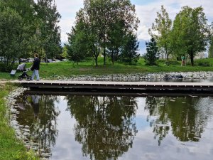 #Мещерский #парк в #Одинцово #Москва Чистый воздух, хвойный лес, яблоневый сад, дизайнерски оформлен