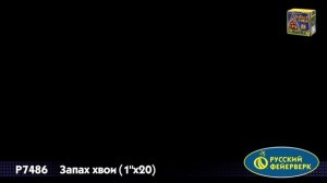 Салют Запах хвои 20 залпов