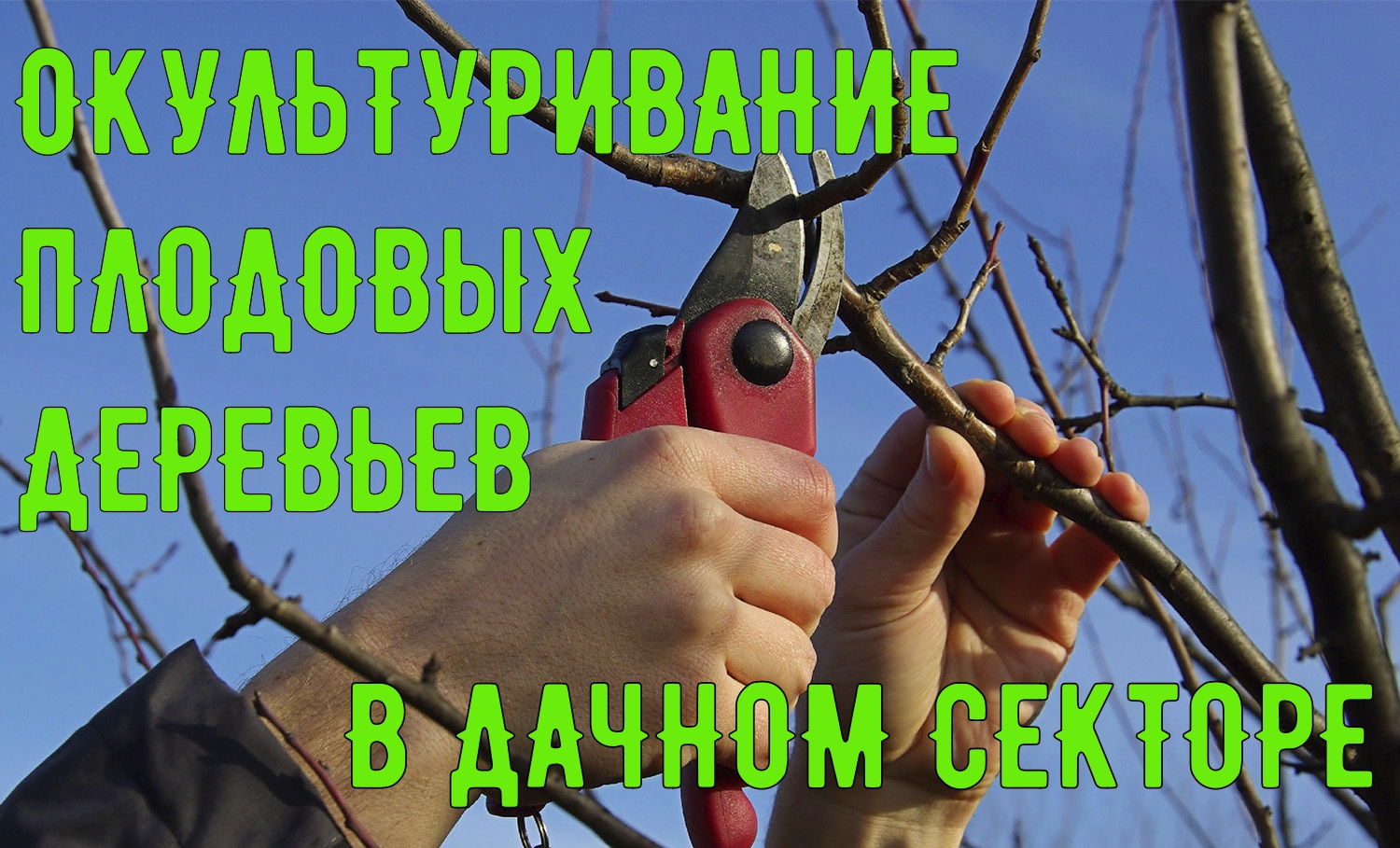 ОКУЛЬТУРИВАНИЕ ДАЧНОГО СЕКТОРА