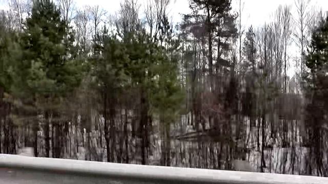 Весна 21год.mp4