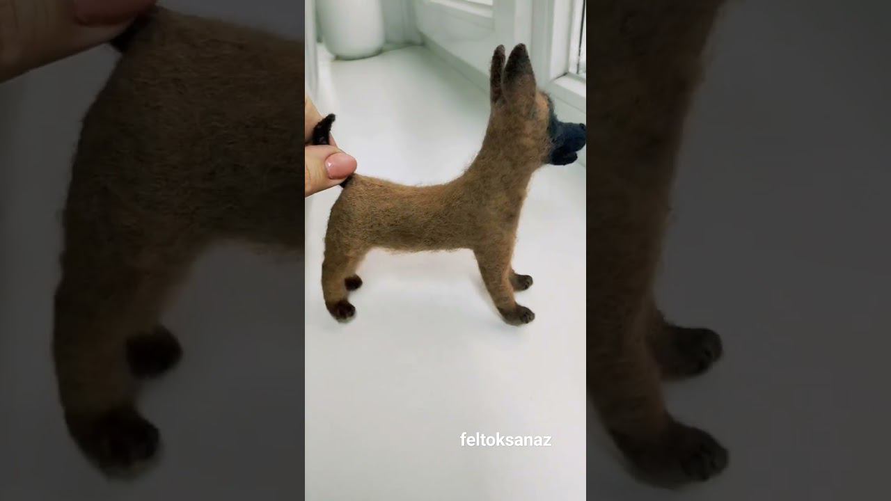 щенок Малинуа бельгийская овчарка - копия питомца из шерсти