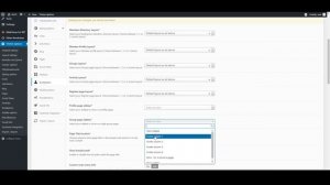 KLEO v4+ Theme Install and Setup ( Main & Community demo )