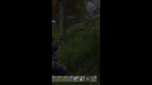 Момент со стрима