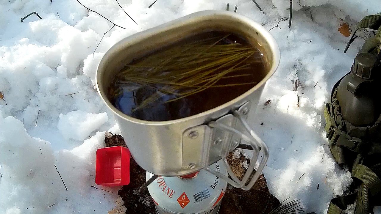 Чай из чаги в лесу