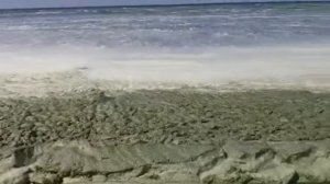 сине зеленые водоросли вецаки 2018