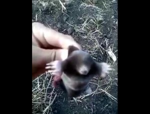 Работа вне закона