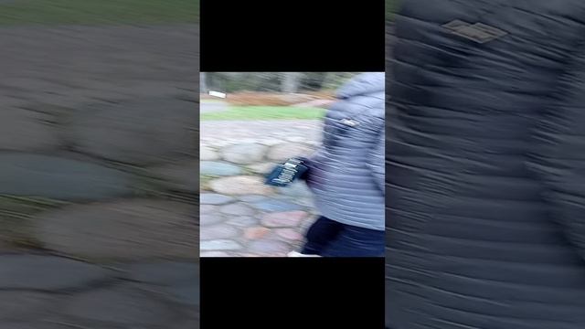 Выборг  парк Монрепо