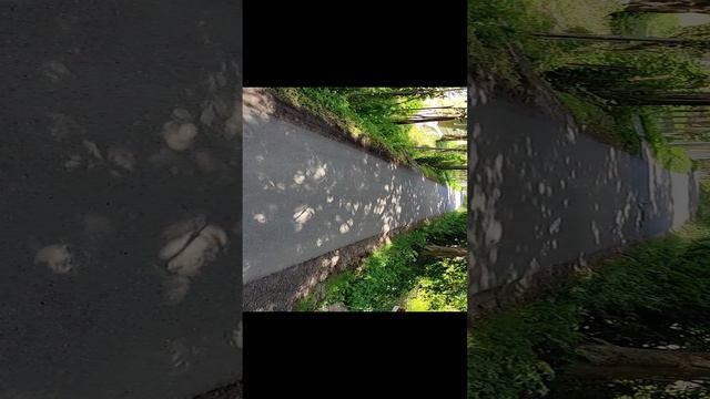 1000560493.mp4