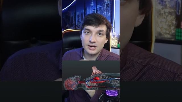 СЛР