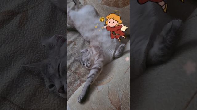 Во власти Морфея