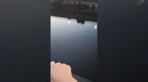 М.И.Цветаева "В огромном городе моëм ночь".