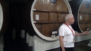 Массандра экскурсия и дегустация г.Ялта