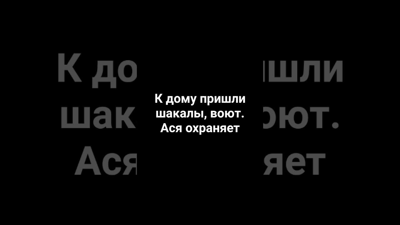 Жуть! Шакалы ночью воют у дома