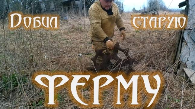 Добил старую ферму. Хорошие находки.