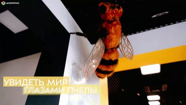 Пчеловодство на ВДНХ