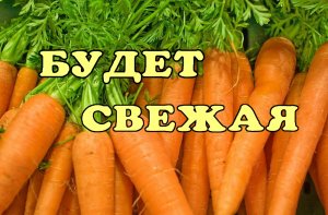 Простой способ сохранить морковь.