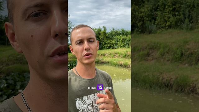 Мечта практически каждого дачника