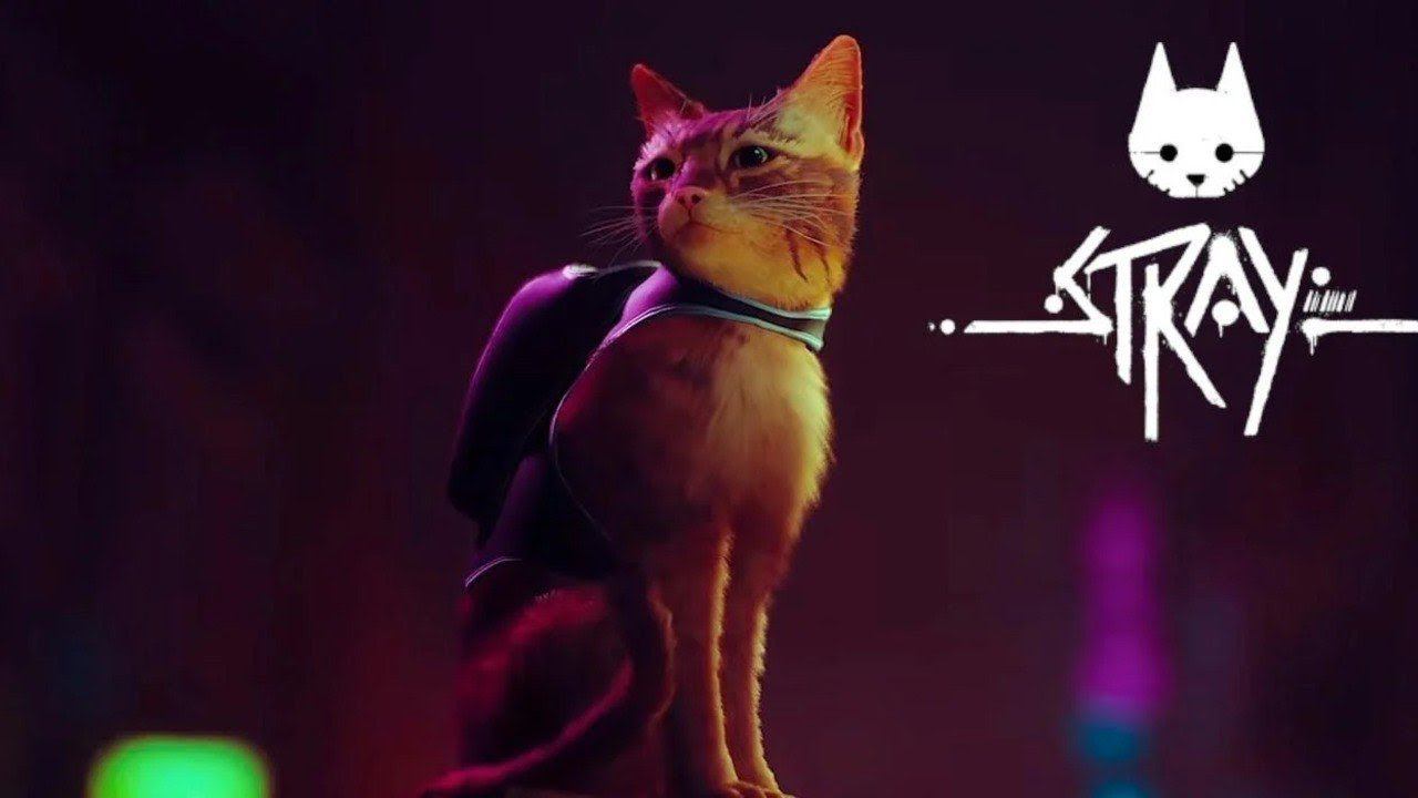КОТИКИ ЭТО СИЛА (СТРИМ) ► Stray #4