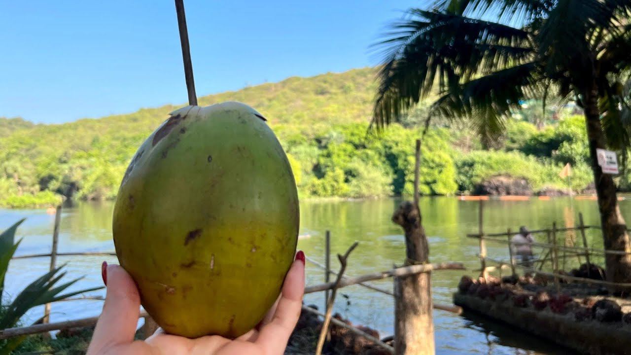 #29 САМОЕ УЮТНОЕ МЕСТО НА АРАМБОЛЕ- SWEET LAKE. НАСТЯ РАЗРИСОВЫВАЕТ СТЕНУ В ОТЕЛЕ OMKAR. ИНДИЯ 2023