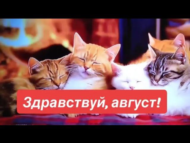 Советы знакам Зодиака на август