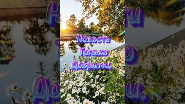 Прекрасного дня