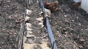 Жизнь налаживается/ работы море / успеть до праздника