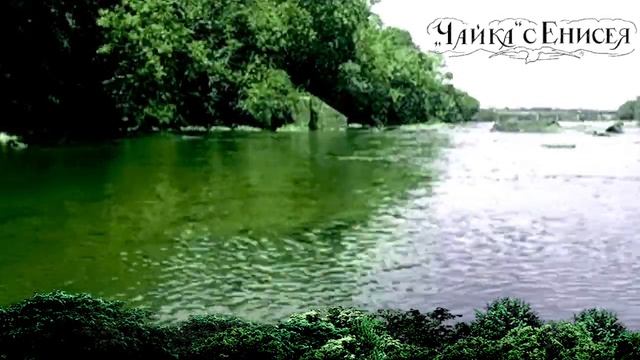 М. Плотникова  «ЧАЙКА» С ЕНИСЕЯ