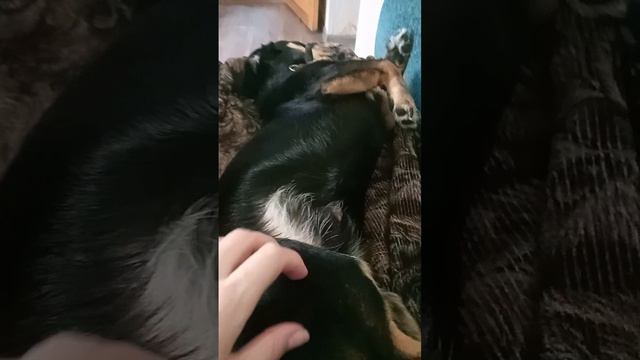 Малыш тащится)