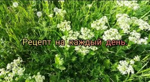 Рецепт на каждый день.?
