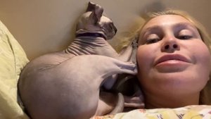 Любовь это... Заснуть на плече.  Приколы с кошками!